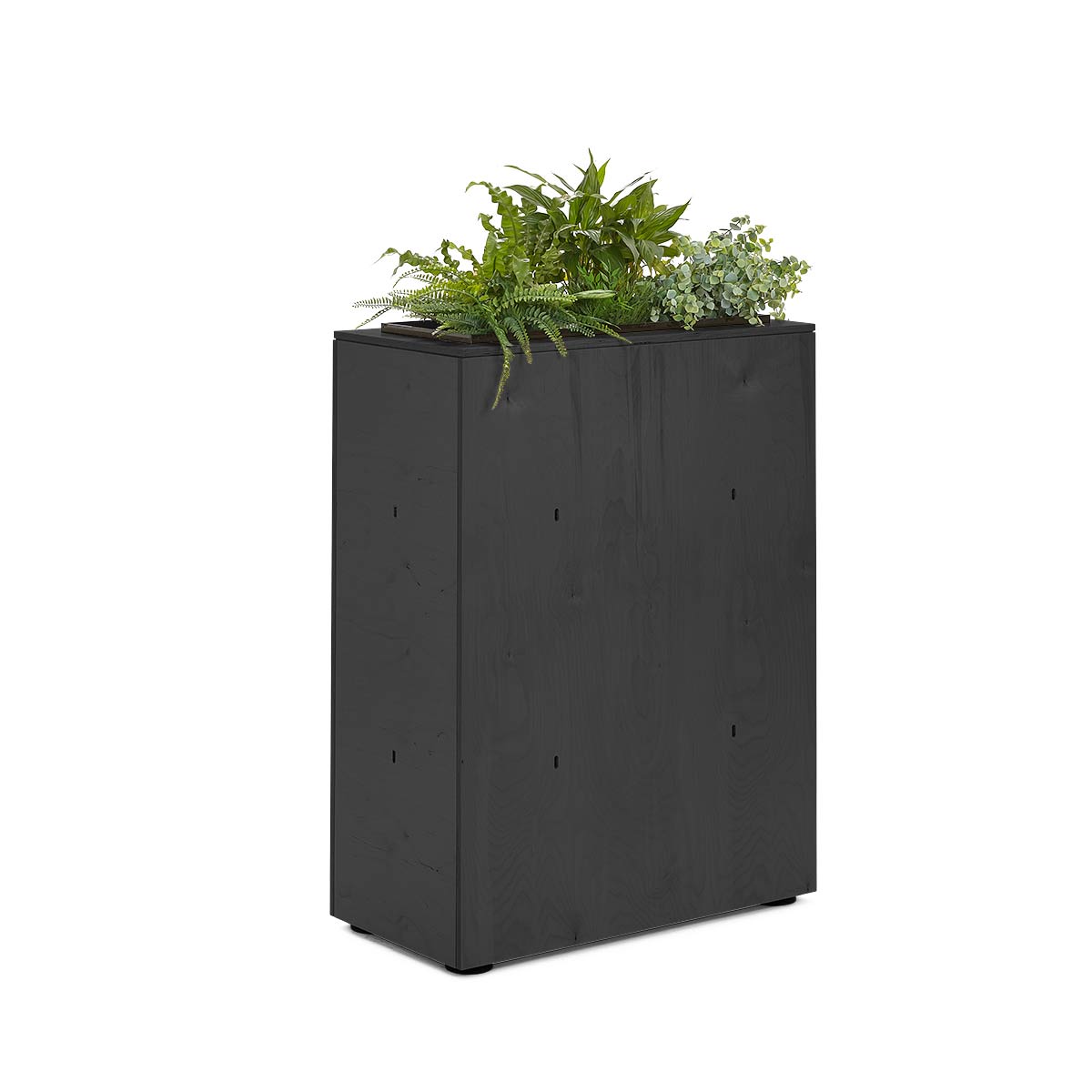 Platform Planter | Workspace Dividing Planters – Furnify